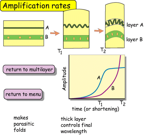 Fold mechanisms - amplification rates